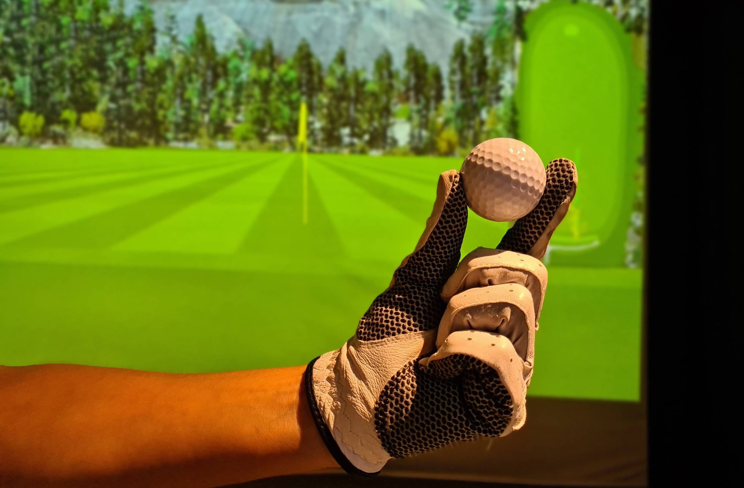 From Par to Eagle: What Golf Scoring Terms Really Mean | Birdiegolf Center